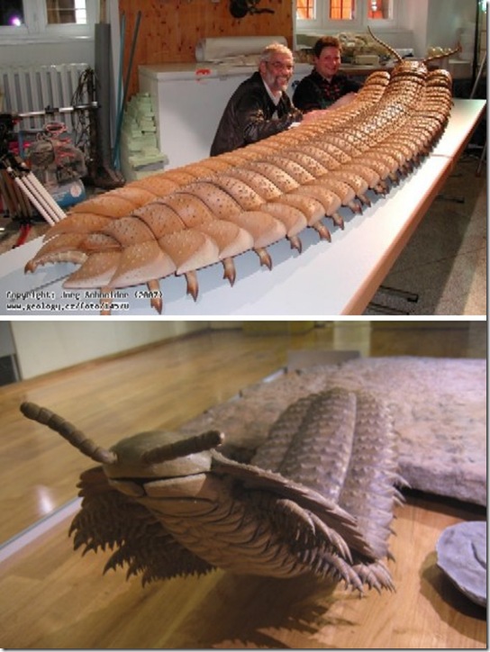 Rate #1, best ranking system: 10 Of The World’s Biggest, Baddest Bugs